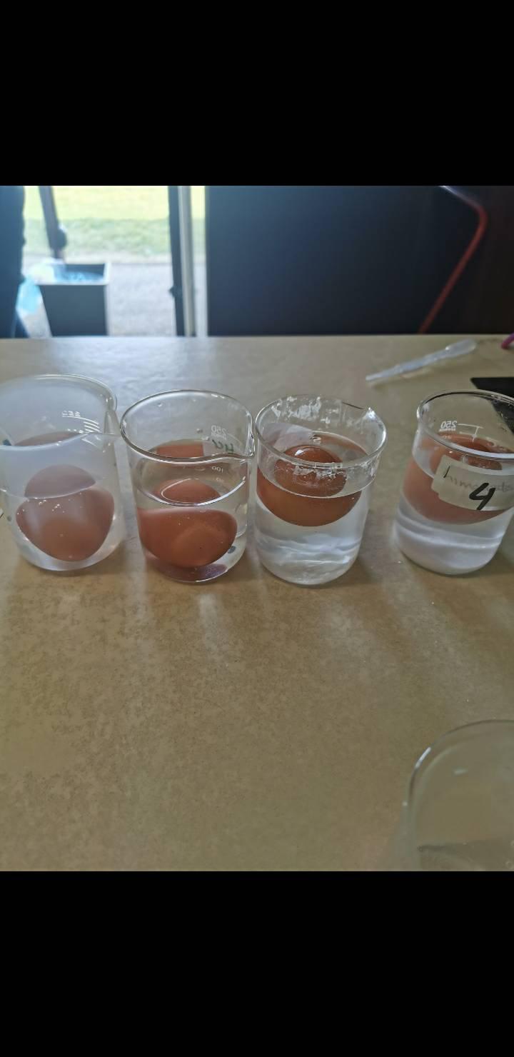 2nd Year Science CBA Col iste Na Toirbhirte 2nd-year-science-cba-col-iste-na-toirbhirte