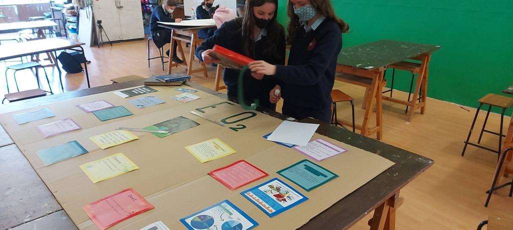 Eco UNESCO Projects | Coláiste na Toirbhirte