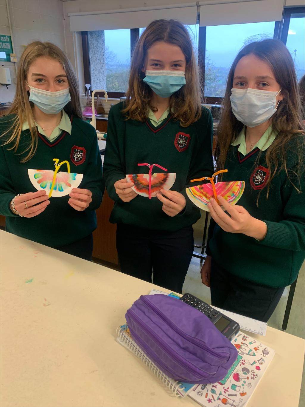 1st Year Science Class | Coláiste na Toirbhirte