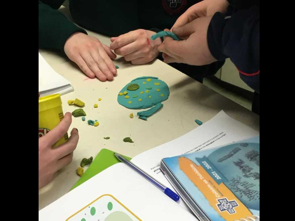 Active learning in Science class | Coláiste na Toirbhirte